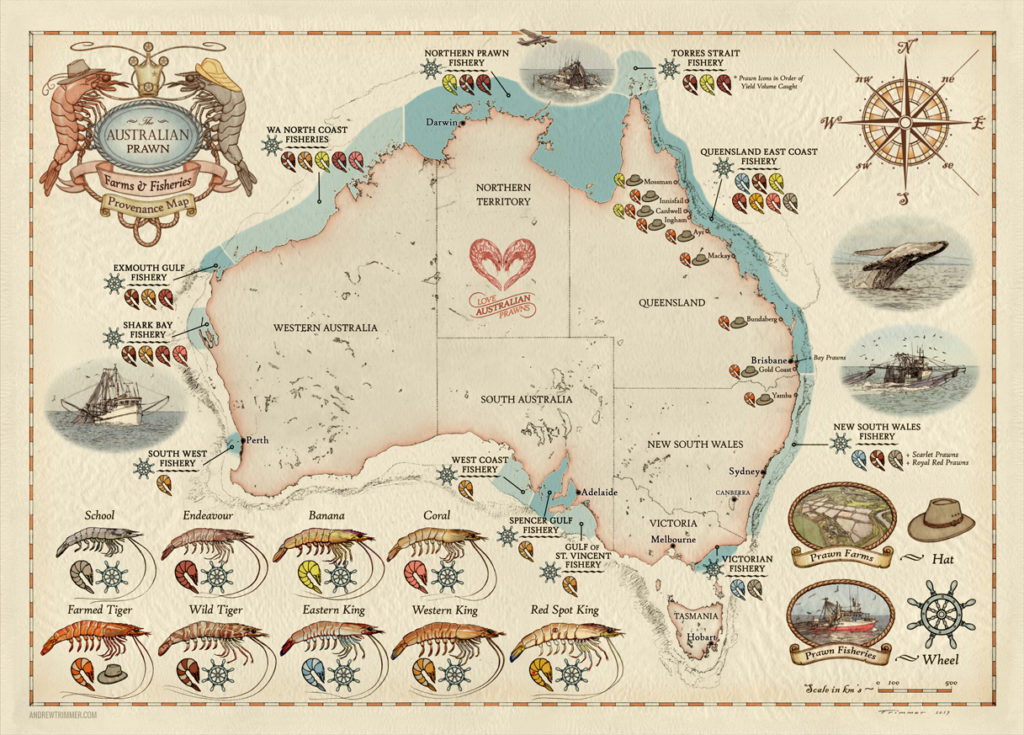 Australian Prawn Map – Andrew Trimmer