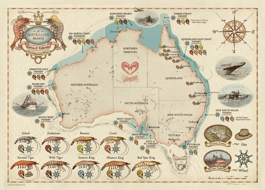 Australian Prawn Map – Andrew Trimmer