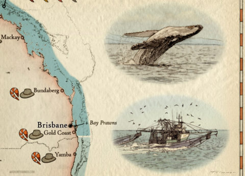 Australian Prawn Map – Andrew Trimmer